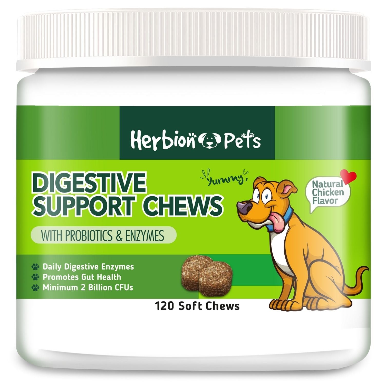 Digestive Support Dog Chews | Probiotics & Enzymes for Gut Health ...