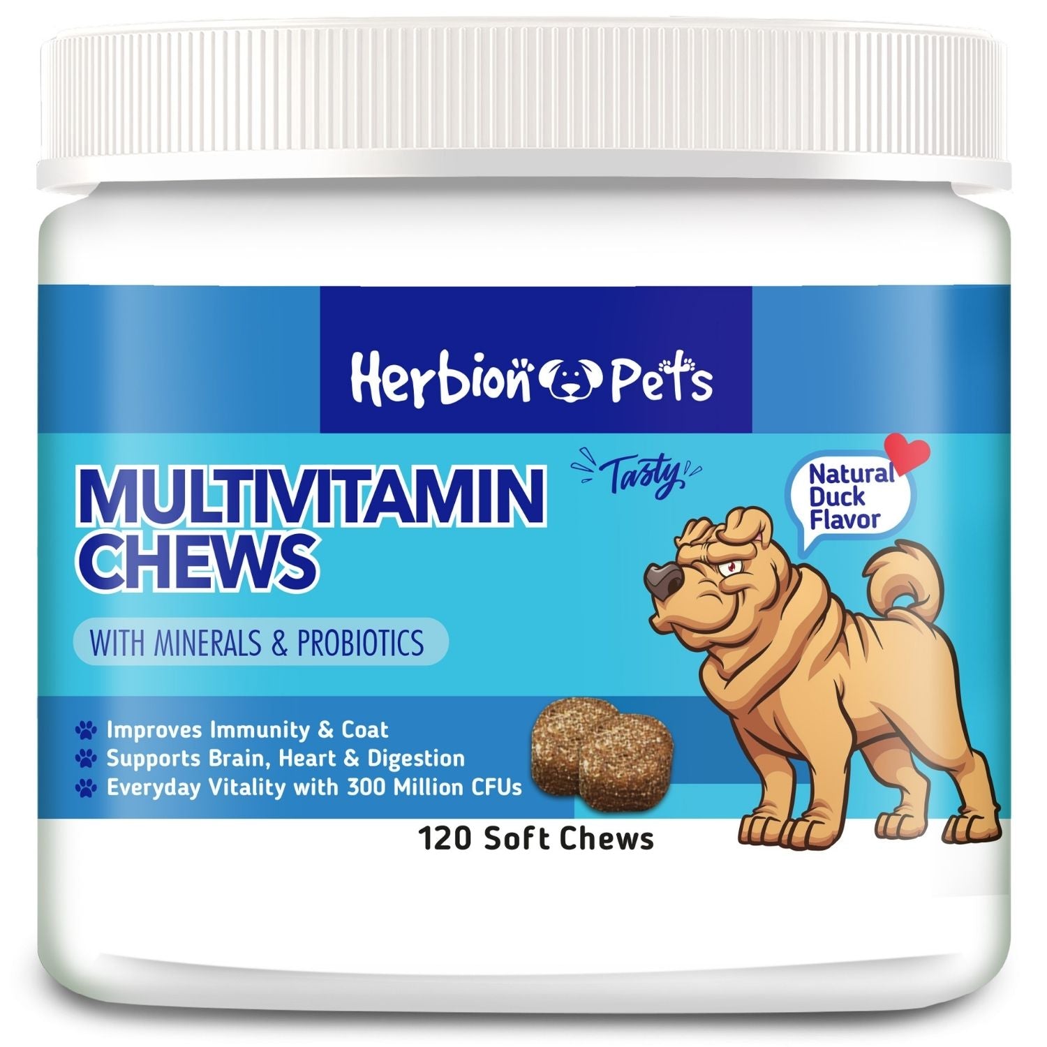 Multivitamin Dog Chews | Best Canine Vitamins for Puppies & Senior Dogs ...